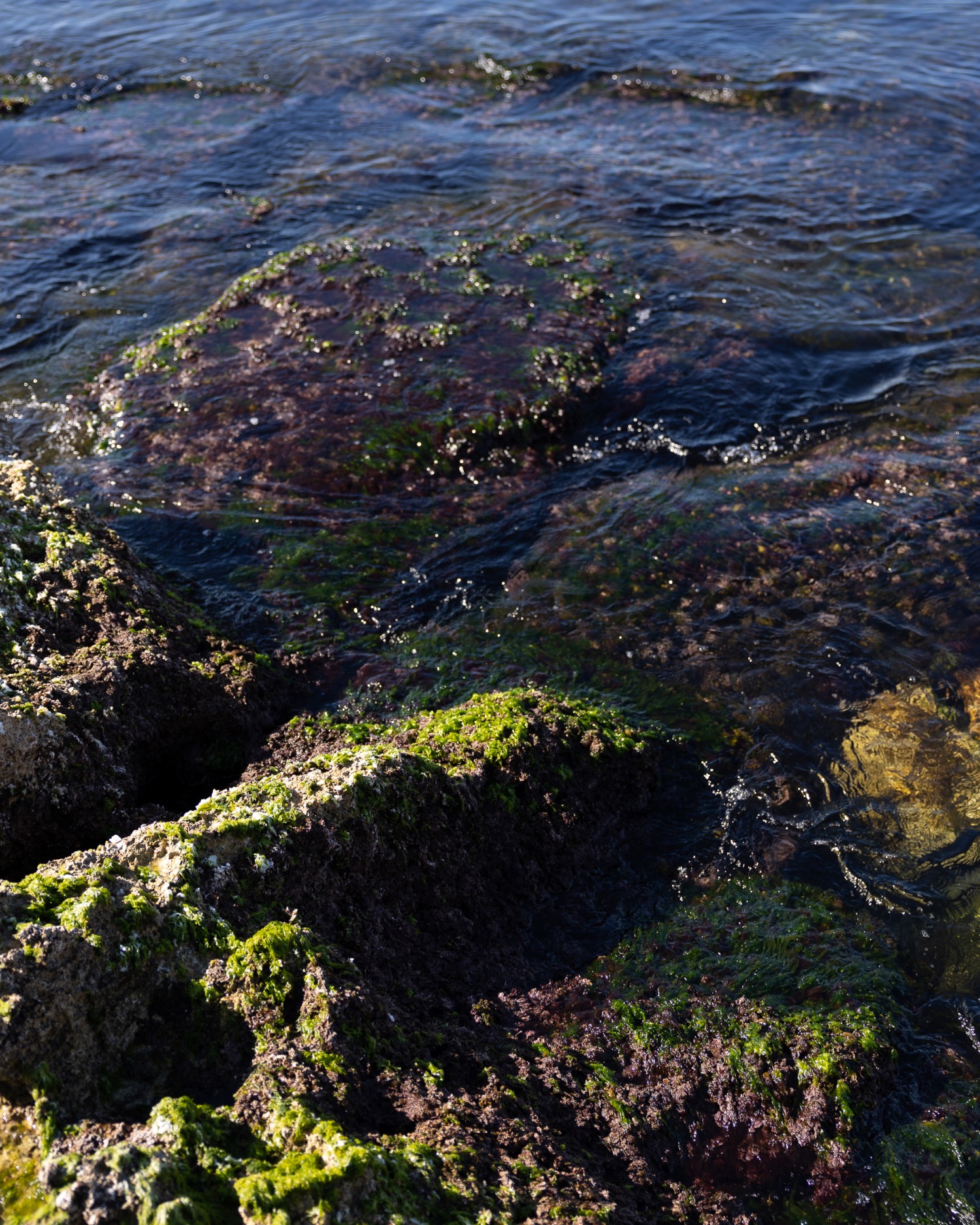 Новый фирменный стиль 12 STOREEZ — 12 STOREEZ